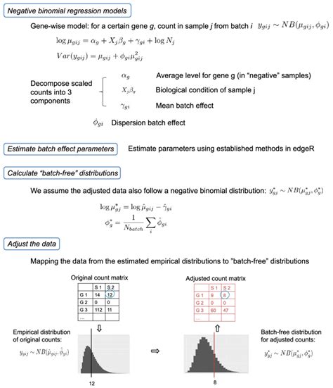 A Diagram For The Combat Seq Modeling And Adjustment Workflow