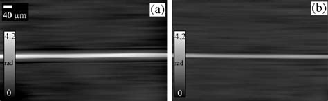 Extracted Phase Distributions After Removing The Spatial Carrier Across