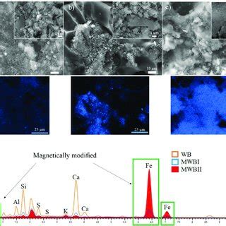 SEM EDX Analysis Images Details And Mapping Of Fe On The Samples A Download Scientific