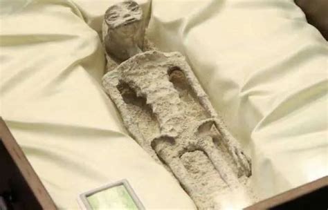 No Convencieron Los Extraterrestres Y Las Momias De Nazca De Maussan