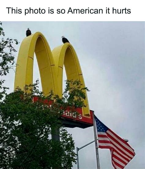 “this Is America” 50 Memes That Sum Up Life In The United States