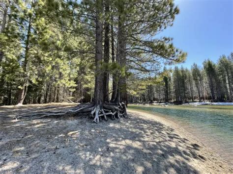 Best Wheelchair Friendly Trails In Donner Memorial State Park Alltrails