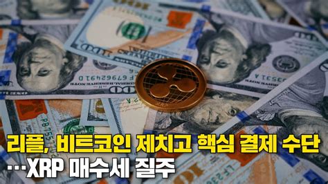 리플 비트코인 제치고 핵심 결제 수단xrp 매수세 질주 Youtube