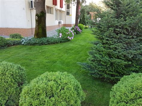 Озеляване и поддръжка на градини и дворове Озеленяване и поливни