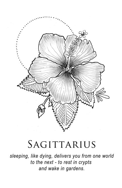 Aesthetic Sagittarius Wallpapers Wallpaper Cave