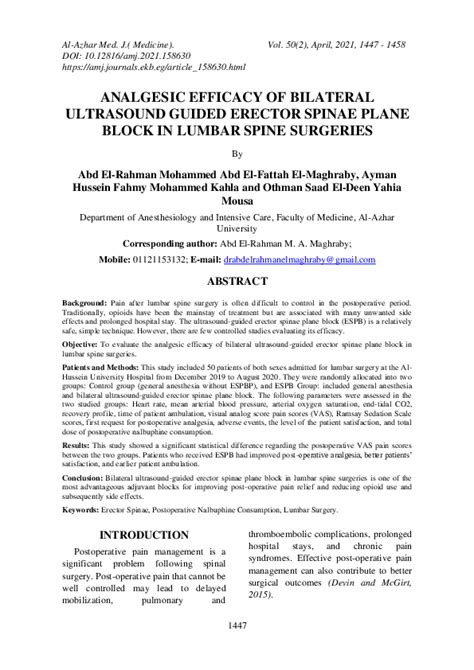 Pdf Analgesic Efficacy Of Bilateral Ultrasound Guided Erector Spinae Plane Block In Lumbar
