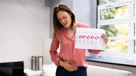 Free Consultation For Web Seo And Web Development Services