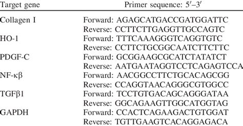 Oligonucleotide Sequences For Real Time Pcr Download Table