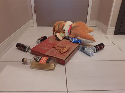 Meicoomon Digimon Real Life Highres Photo Medium Alcohol Cat