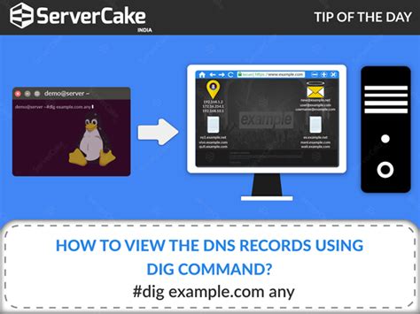 How To View The DNS Records Using Dig Command ServerCake India