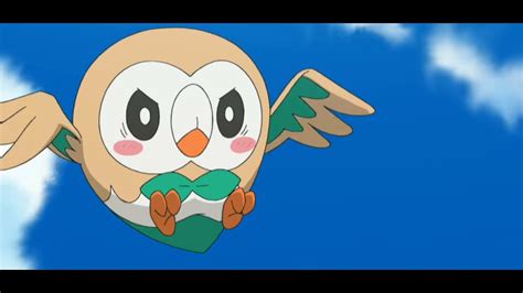 Rowlet Thought Bounsweet Is A Fruit Youtube