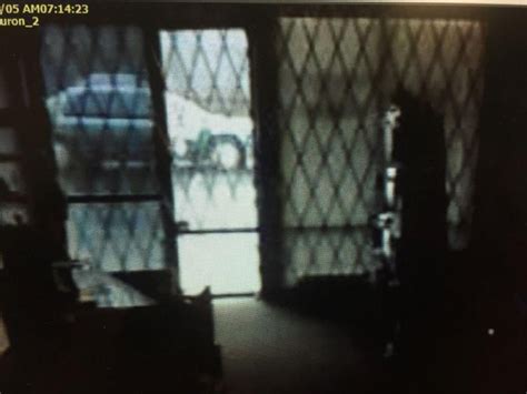 Burglars Slam Car Into California Gun Shop Grab Weapons