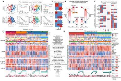 Transcriptomic Landscape Between Asian And European Cohorts A