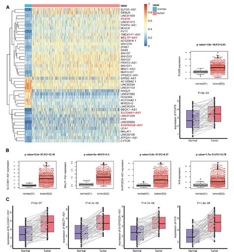 Figure 1 From Identification And Validation Of An M6A Related LncRNA