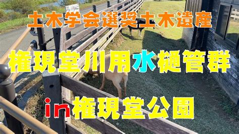 権現堂川用水樋管群 In 権現堂公園【土木学会選奨土木遺産】【埼玉県幸手市】【ヤクシマヤギ】【フジバカマ（絶滅危惧種）】 Youtube