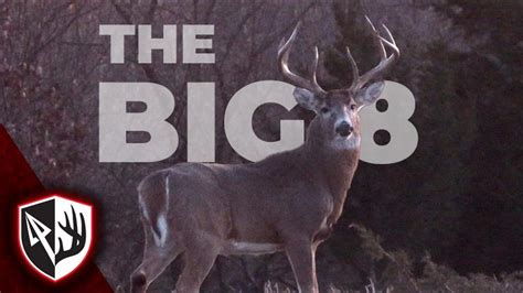 Chasing An 8 Year Old Buck