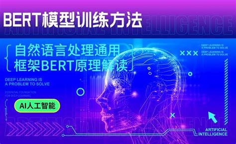 BERT模型训练方法 深度学习与TensorFlow 2入门实战 3D数字教程 TensorFlow 2 虎课网