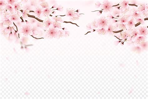 Flower Overlays
