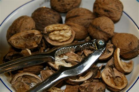 The Hidden Health Benefits Of Walnuts Off The Grid News