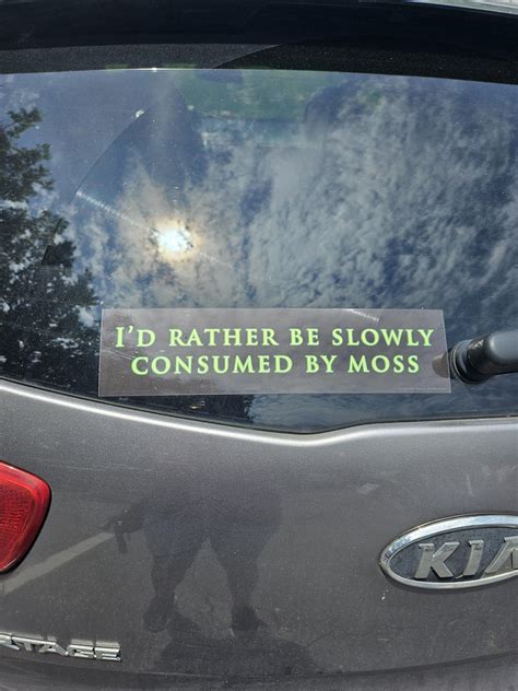 Made Me Think Of You R Goblincore