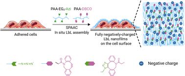 In Situ Fabrication Of Fully Negatively Charged Layer By Layer