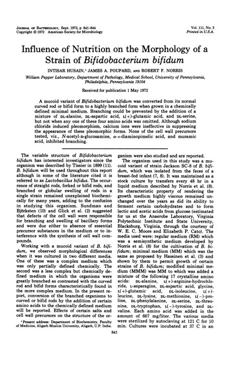 Influence Of Nutrition On The Morphology Of A Strain Of Bifidobacterium