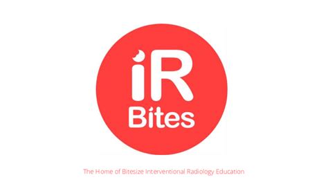 ir bites workshop slides content medall