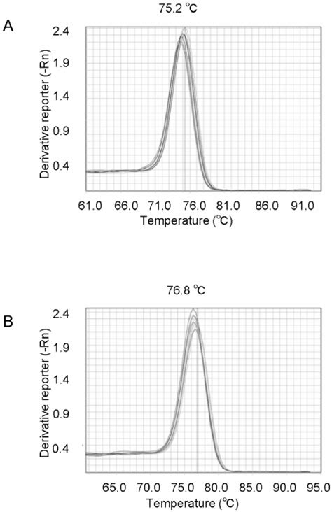 Melting Curve Analysis A Melting Curve Constructed Using Wt