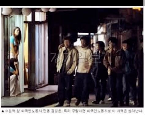 창녀촌에 기웃거리는 외노자들 포텐 터짐 최신순 에펨코리아