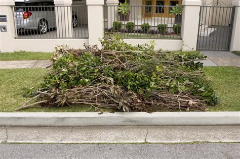Garden Waste Clearance