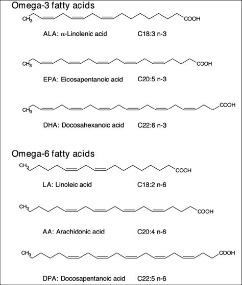 Structures Of Omega 6 And Omega 3 Fatty Acids Omega 3 Fatty Acids