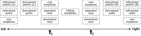 Relative Positions Of Component Structures In Composite Structures Download Scientific Diagram