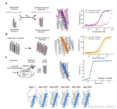 Nature Baker团队用ai设计出史上最高互作强度的蛋白质de Novo Design Of High Affinity