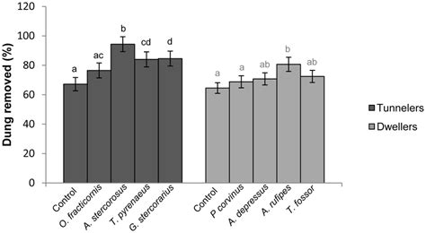 Lab Experiment Parameter Estimates Of Dry Dung Removed After 80 Download Scientific