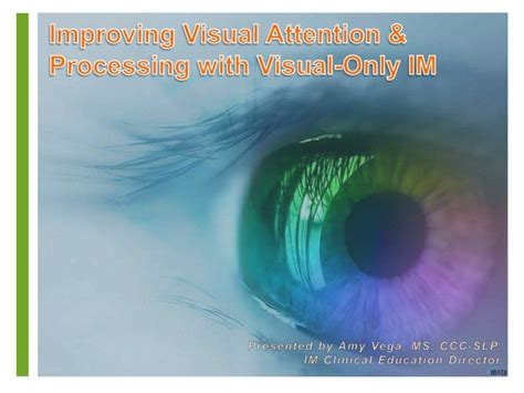 Visual Attention And Processing With Visual Only Im
