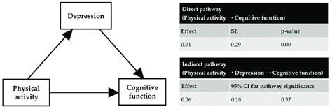 Effect Of Physical Activity On Cognitive Function And The Mediating