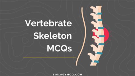 Vertebrate Skeleton Mcqs