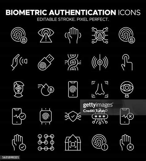 Biometric Authentication Icon Set Identification Biometric Eye Scan Access Control High Res