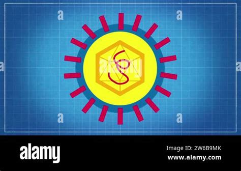 Virus Classification Naming Viruses And Placing Them Into A Taxonomic System Animation On