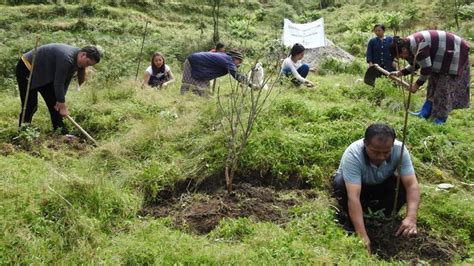 Grow Trees Honoured For Planting 3 Lakh Saplings To Restore Sikkims