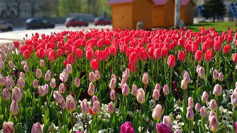 Честита първа пролет Община Габрово