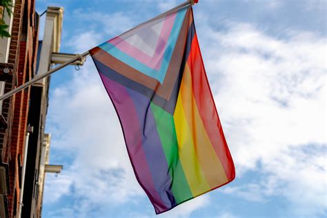 Strategic Plan Lambda Legal