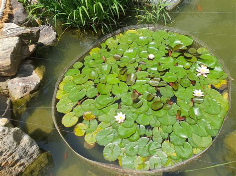 아름다운 관계 ♧