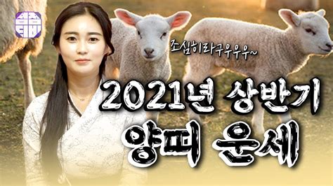 용한점집 띠별운세 대구점집 소원아씨 2021년 상반기 양띠 운세 [점점tv정주행하기] Youtube