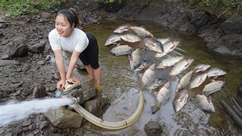 Top Videos Fishing Techniques Unique Fishing Harvest Big Fish In The