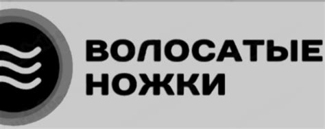 волосатые ножки 2025 ВКонтакте