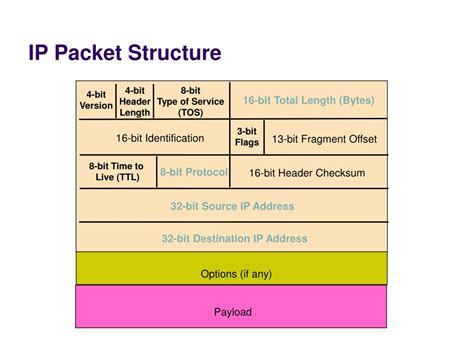 ppt the ip data plane packets and routers powerpoint presentation
