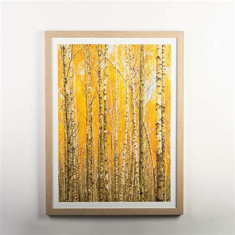 Framed Print Golden Birches Wall Decor Overstock