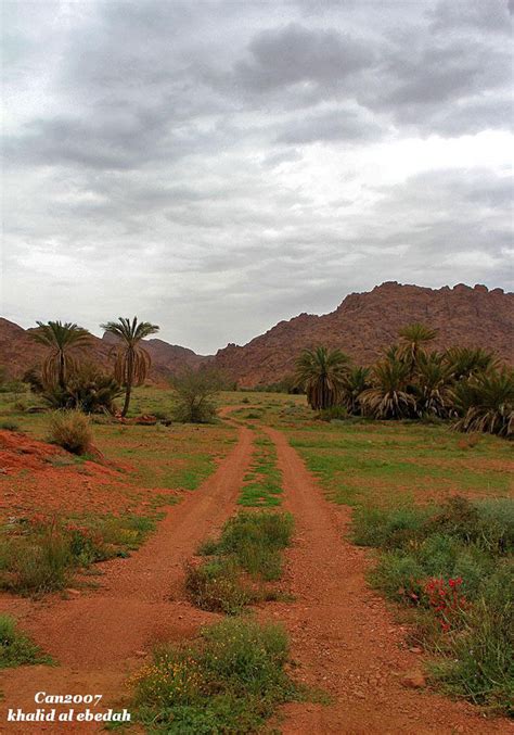 صور ربيـــع وامـــطار منطقـــة حـــــــائل لعام 1435هـ 65 صورة