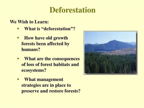 Ppt Deforestation Powerpoint Presentation Free Download Id5400771